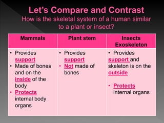 Organs human body sat flip book systems compare plants and animals 2015 ...