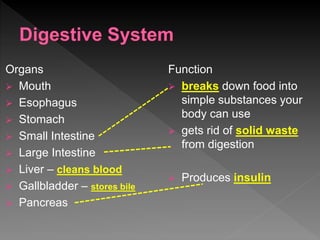 Organs human body sat flip book systems compare plants and animals 2015 ...