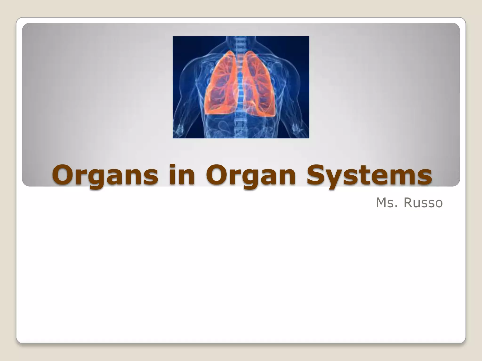 Organsin Organ Systems | PPT | Free Download