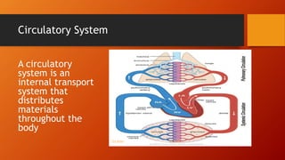 Organs in the Circulatory System - Science 9.pptx