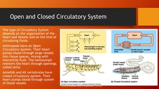 Organs in the Circulatory System - Science 9.pptx