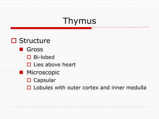 organs of Immune system | PPTX