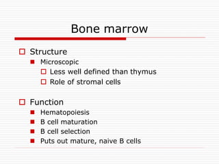 organs of Immune system | PPTX