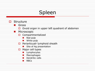 organs of Immune system | PPTX