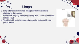 organ sistem imun.pptx