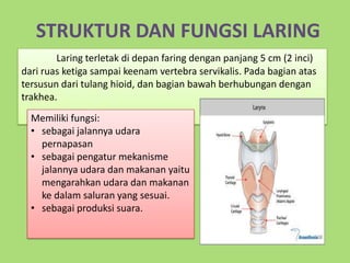 Organ sistem pernafasan baru | PPTX