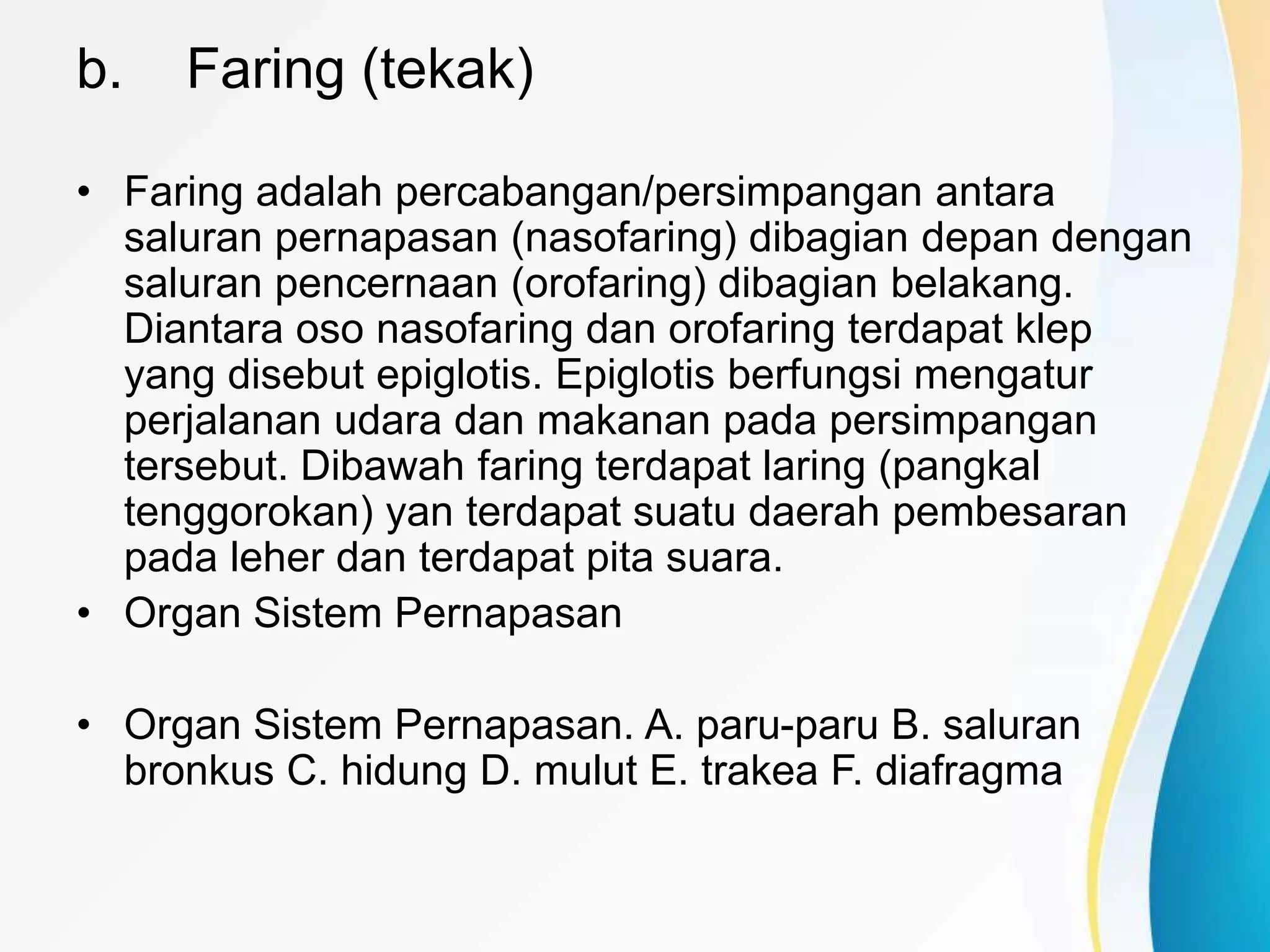 Organ_sistem_pernapasan_ppt.ppt