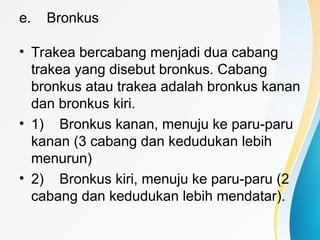 Organ_sistem_pernapasan manusiah_ppt.ppt