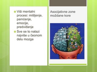 Organski osnovi i razvoj psihičkog života | PPTX