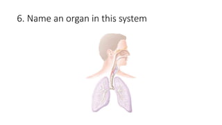Organ slide show | PPTX
