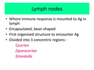 Organs of immune system | PPTX | Biological Sciences | Science