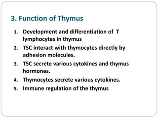 Organs of Immune System.pdf