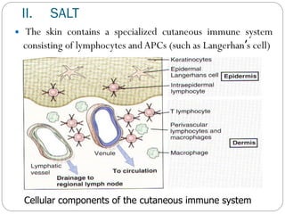 Organs of Immune System.pdf