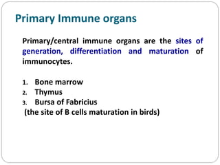 Organs of Immune System.pdf