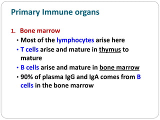 Organs of Immune System.pdf