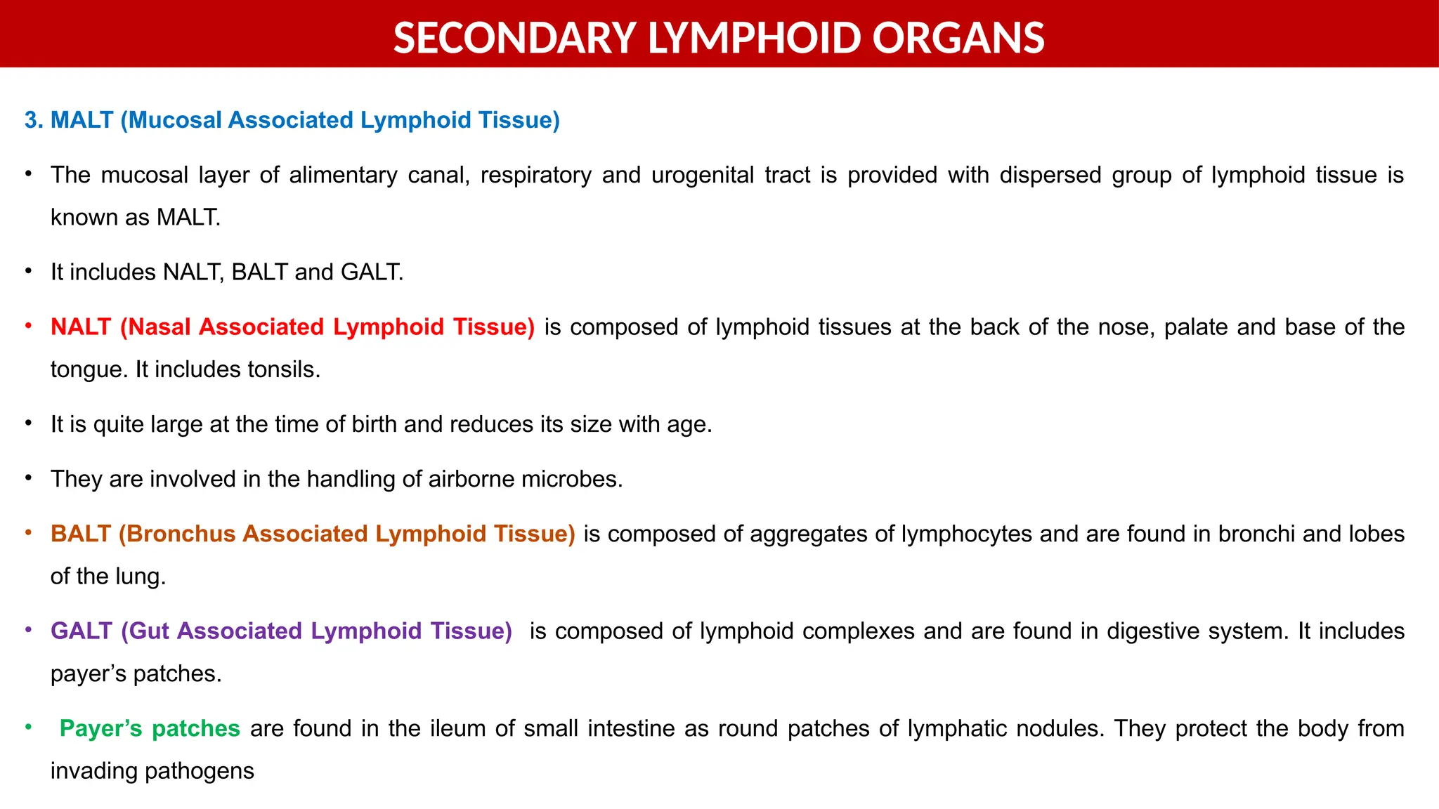 Organs of Immune System - Immunology Exam Point of View | PPTX