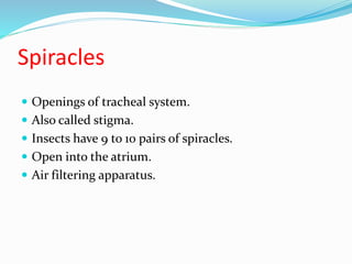 biology of aging | PPTX