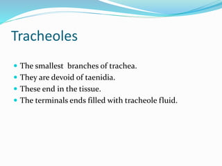 biology of aging | PPTX