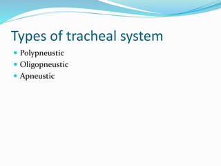 biology of aging | PPTX