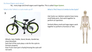 Organs of our body | PPT