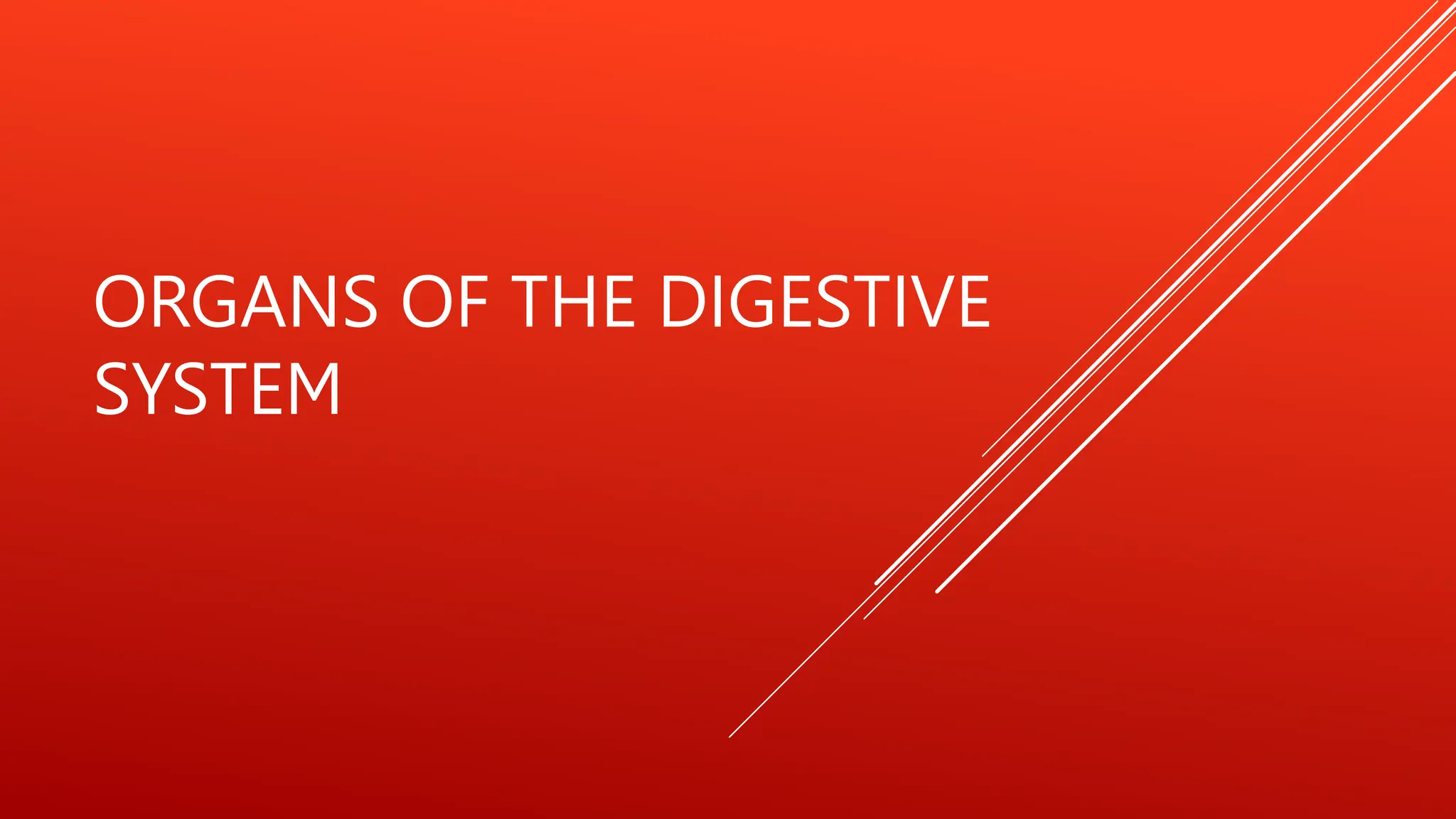 Organs of the Digestive System.pptx