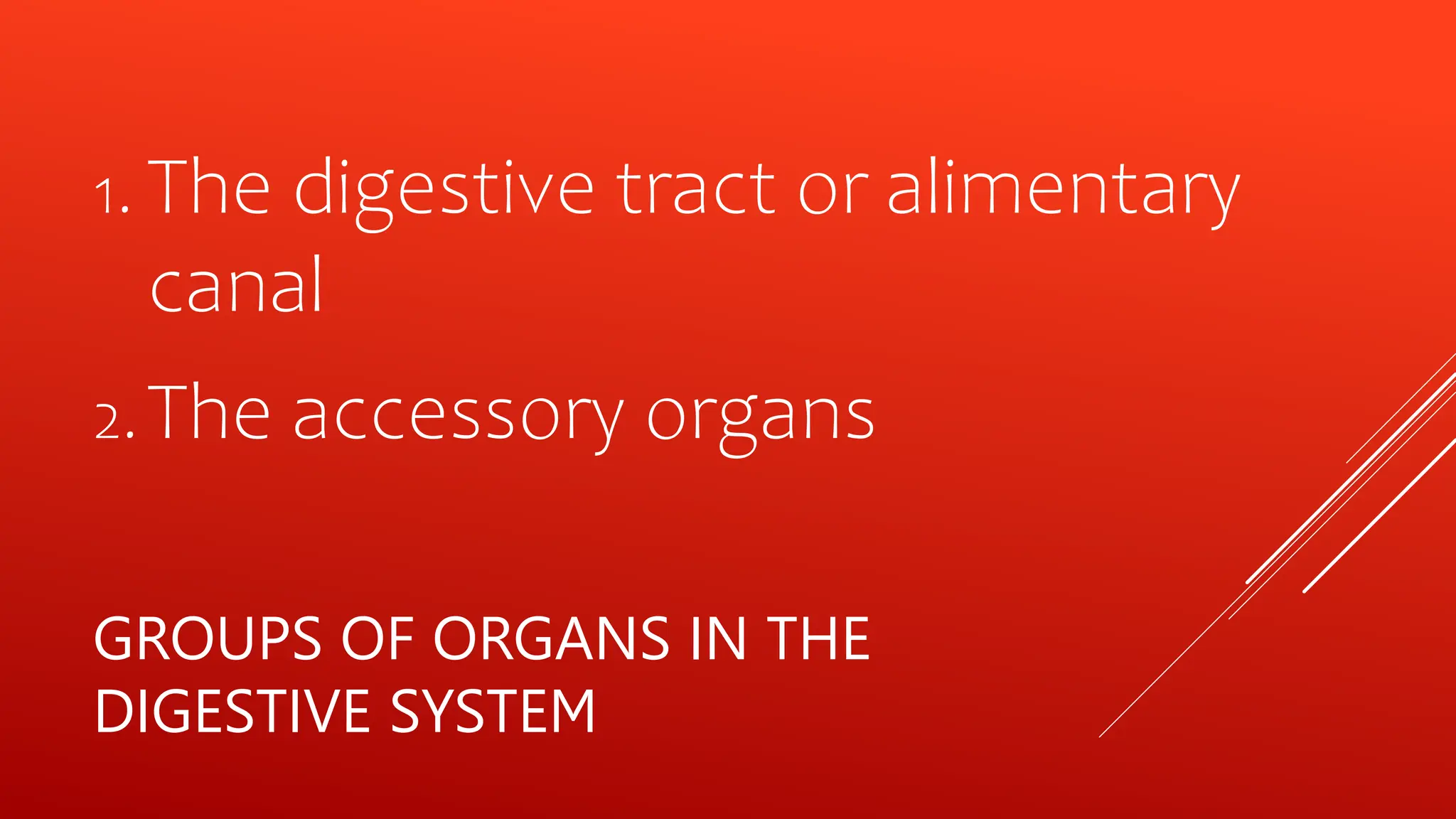 Organs of the Digestive System.pptx