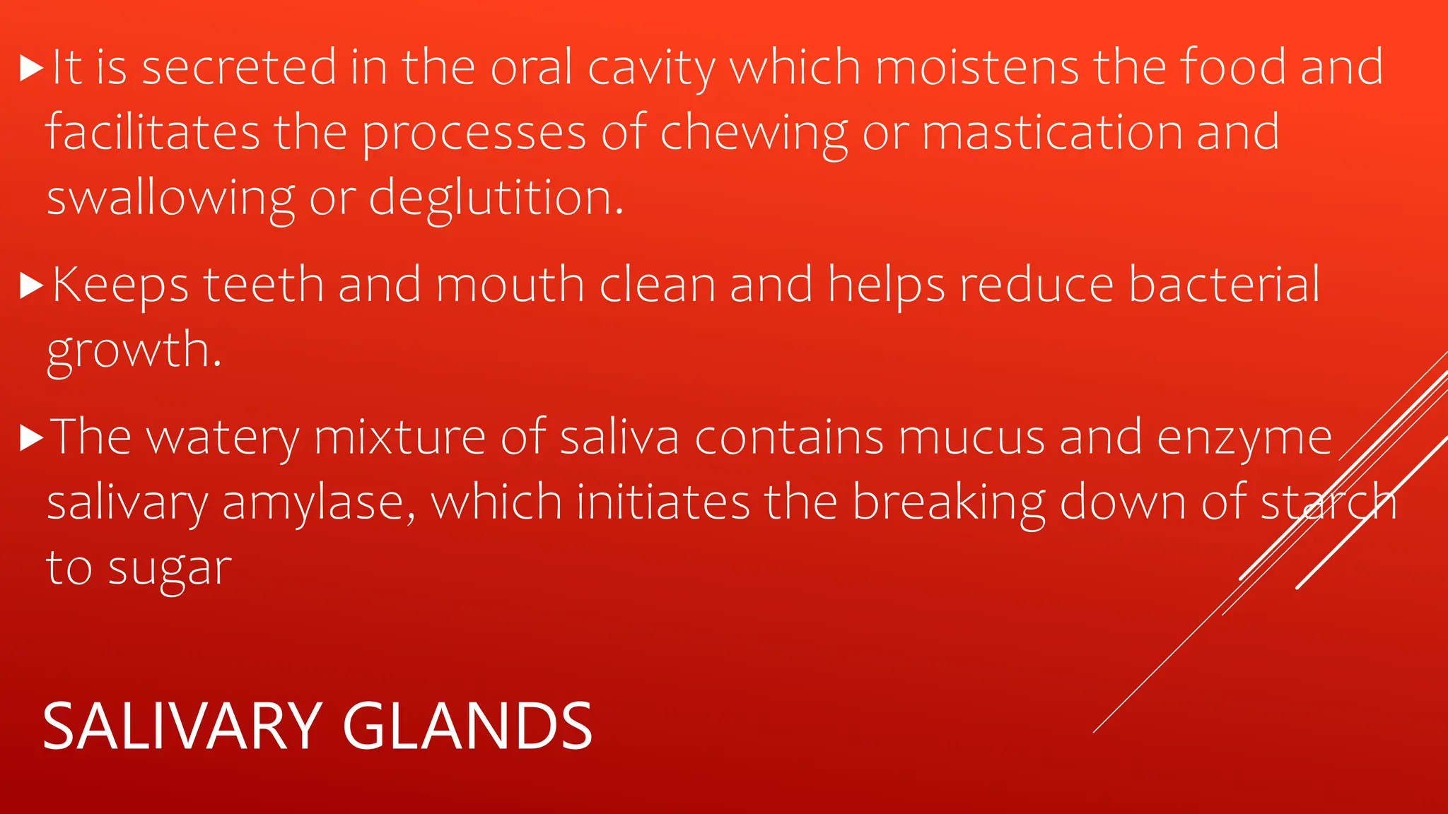 Organs of the Digestive System.pptx