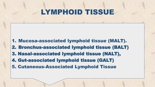 ORGANS OF THE IMMUNE SYSTEM by pranzly.ppt