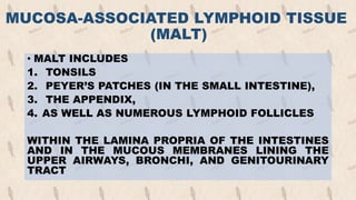 ORGANS OF THE IMMUNE SYSTEM by pranzly.ppt