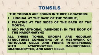 ORGANS OF THE IMMUNE SYSTEM by pranzly.ppt