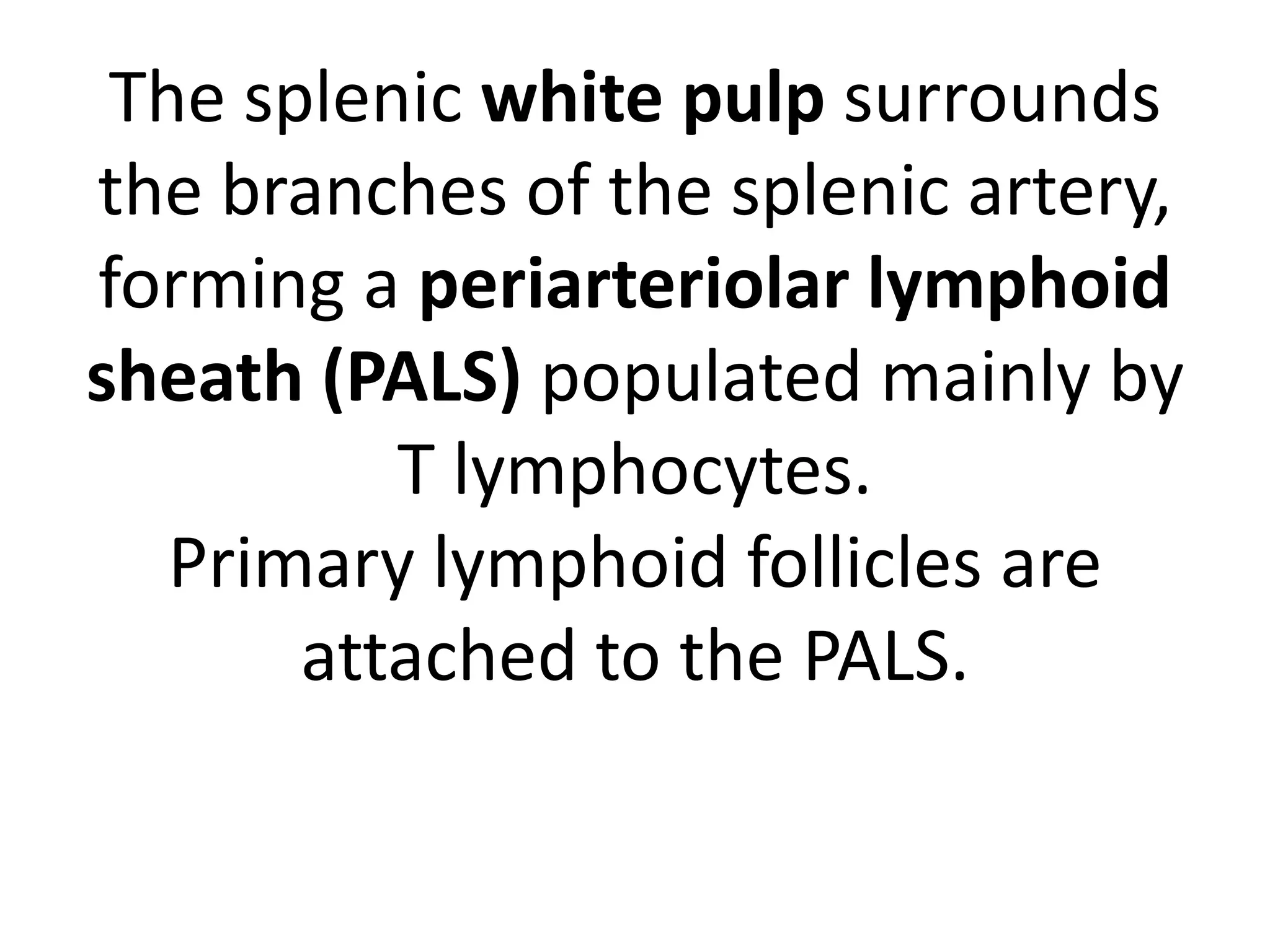 Organs of the immune system | PPTX