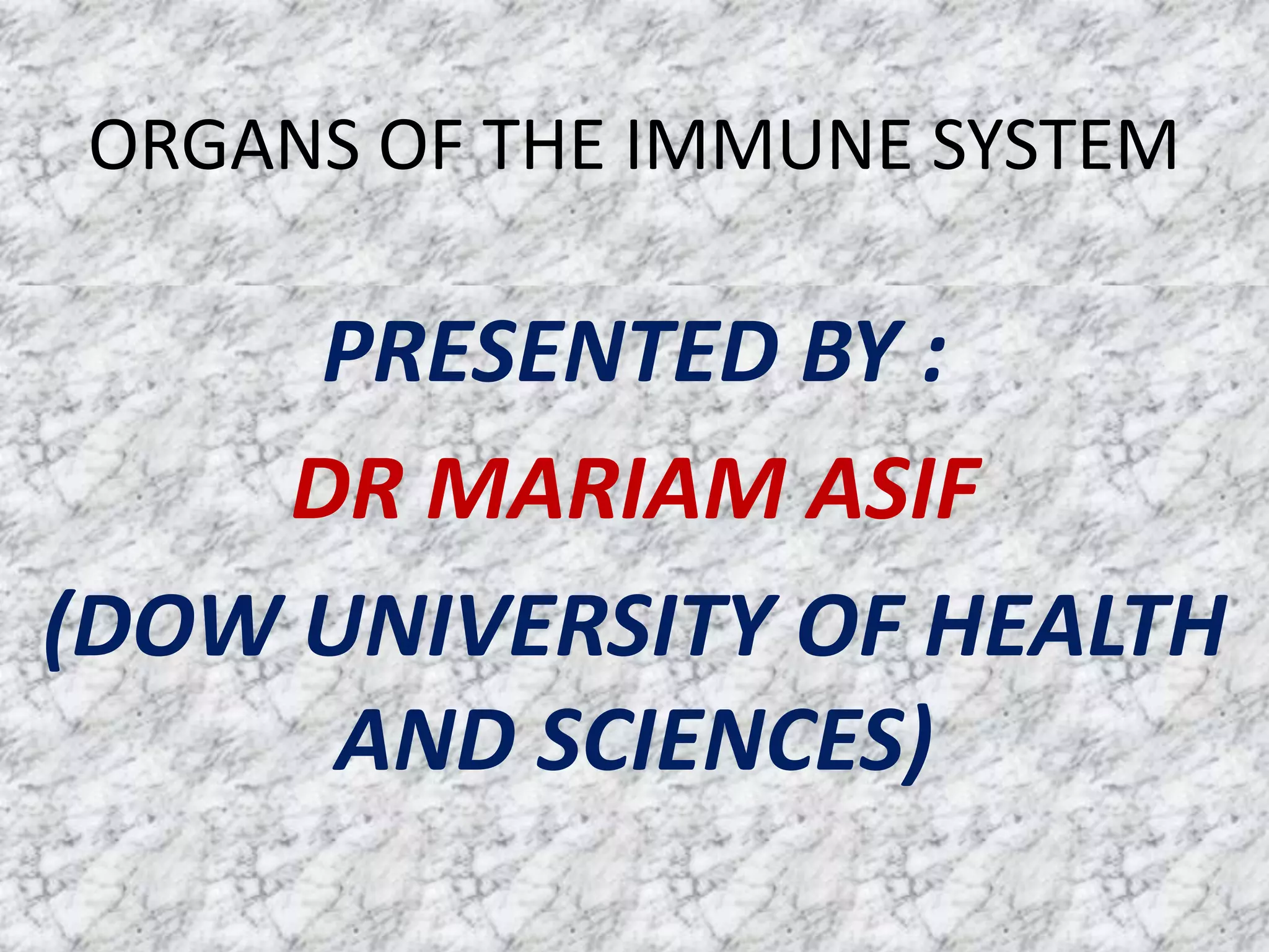 Organs of the Immune System Explained | PPT