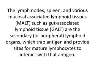 Organs of the immune system | PPTX
