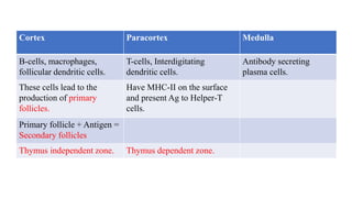 Organs of the immune system | PPT
