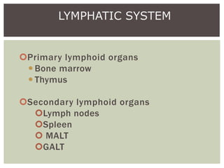 Lymphatic System- Organs of the Immune System.pdf