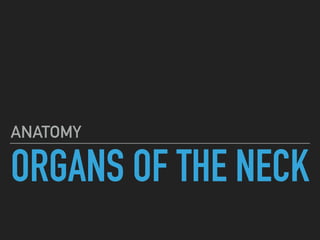 Organs of the neck | PPT