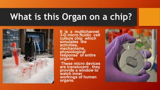 Organs on chip ppt | PPTX