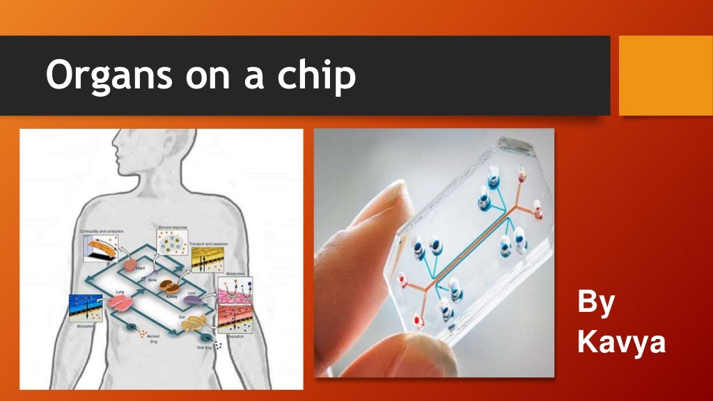 Organs on chip ppt