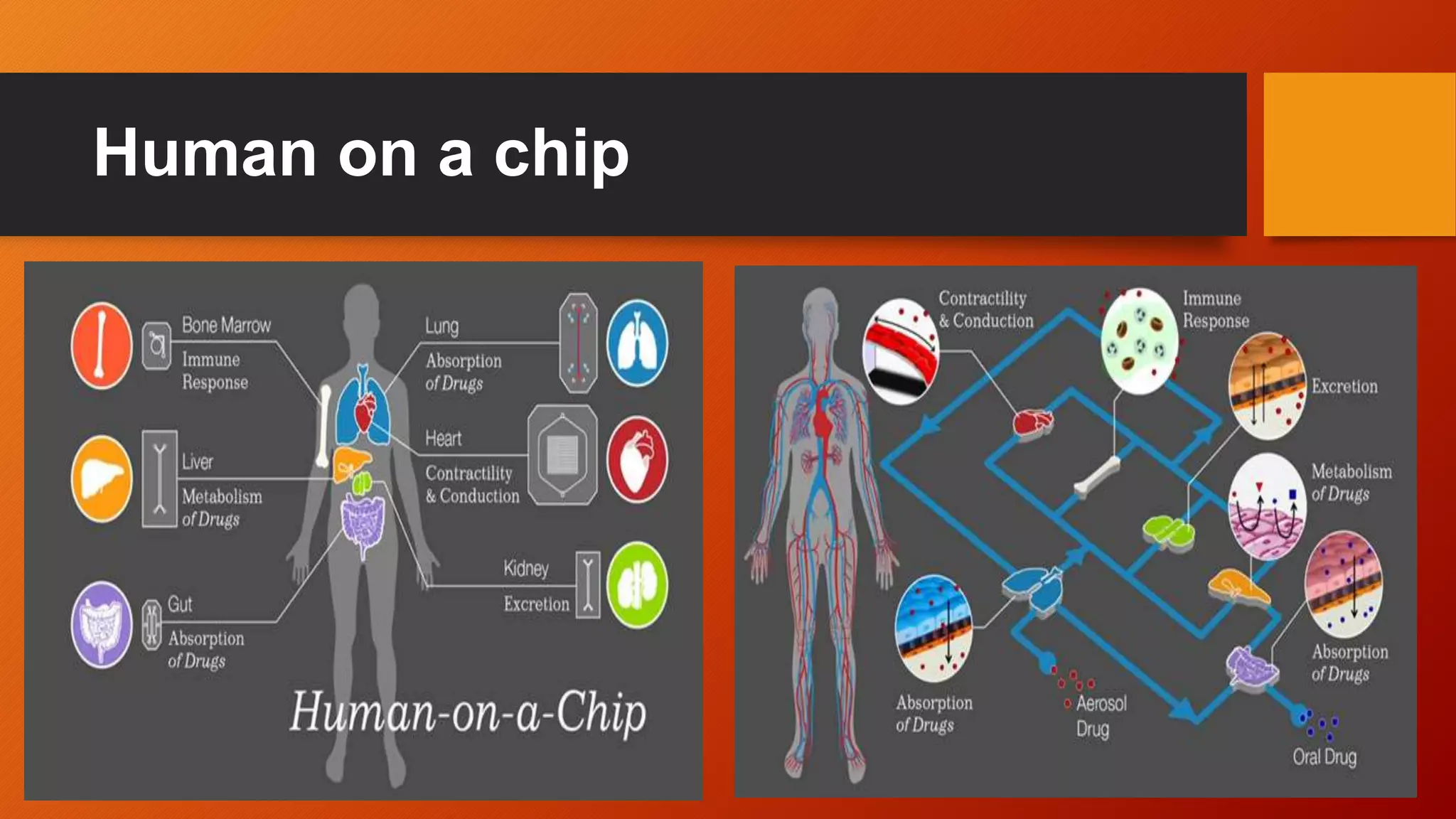 Organs on chip ppt | PPTX