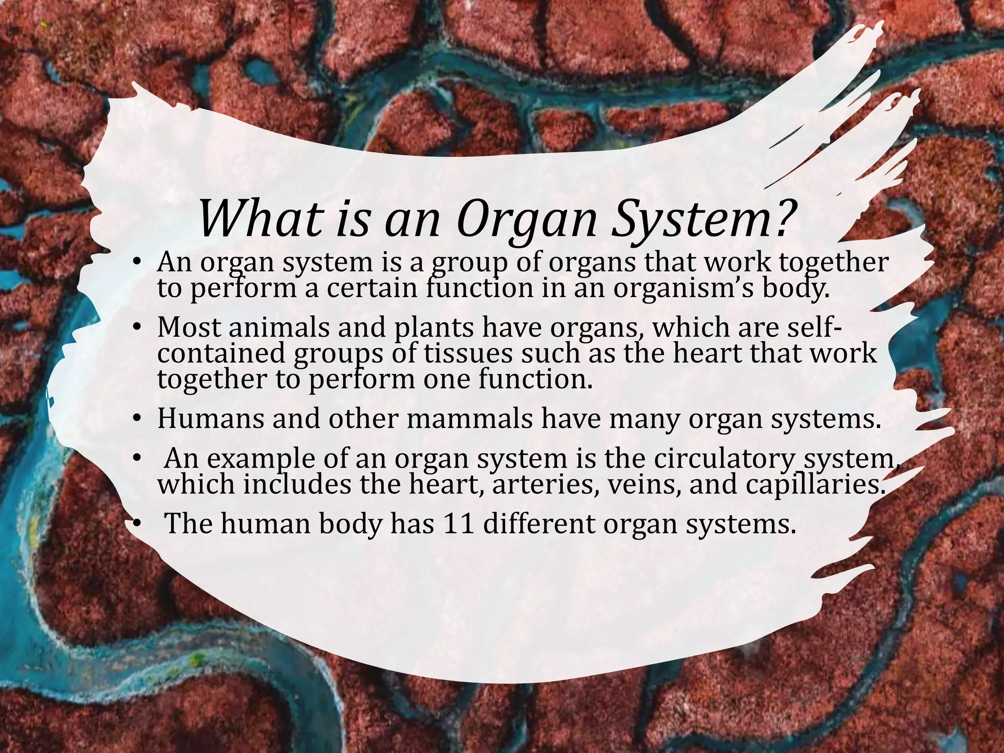 Organ system | PPT