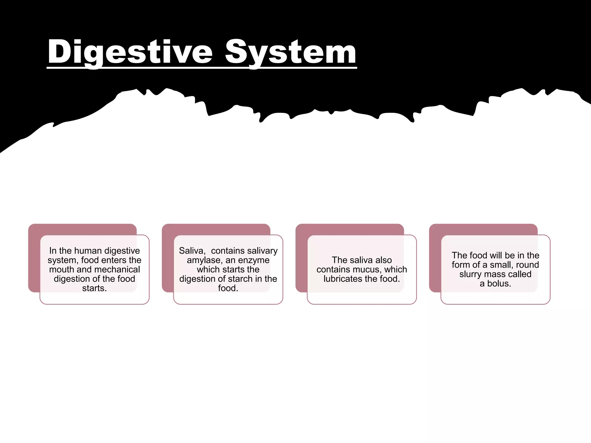 Organ system | PPTX