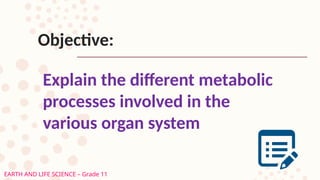 Organ System.pptx powerpoint presentation | PPTX