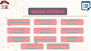 Organ System.pptx powerpoint presentation | PPTX