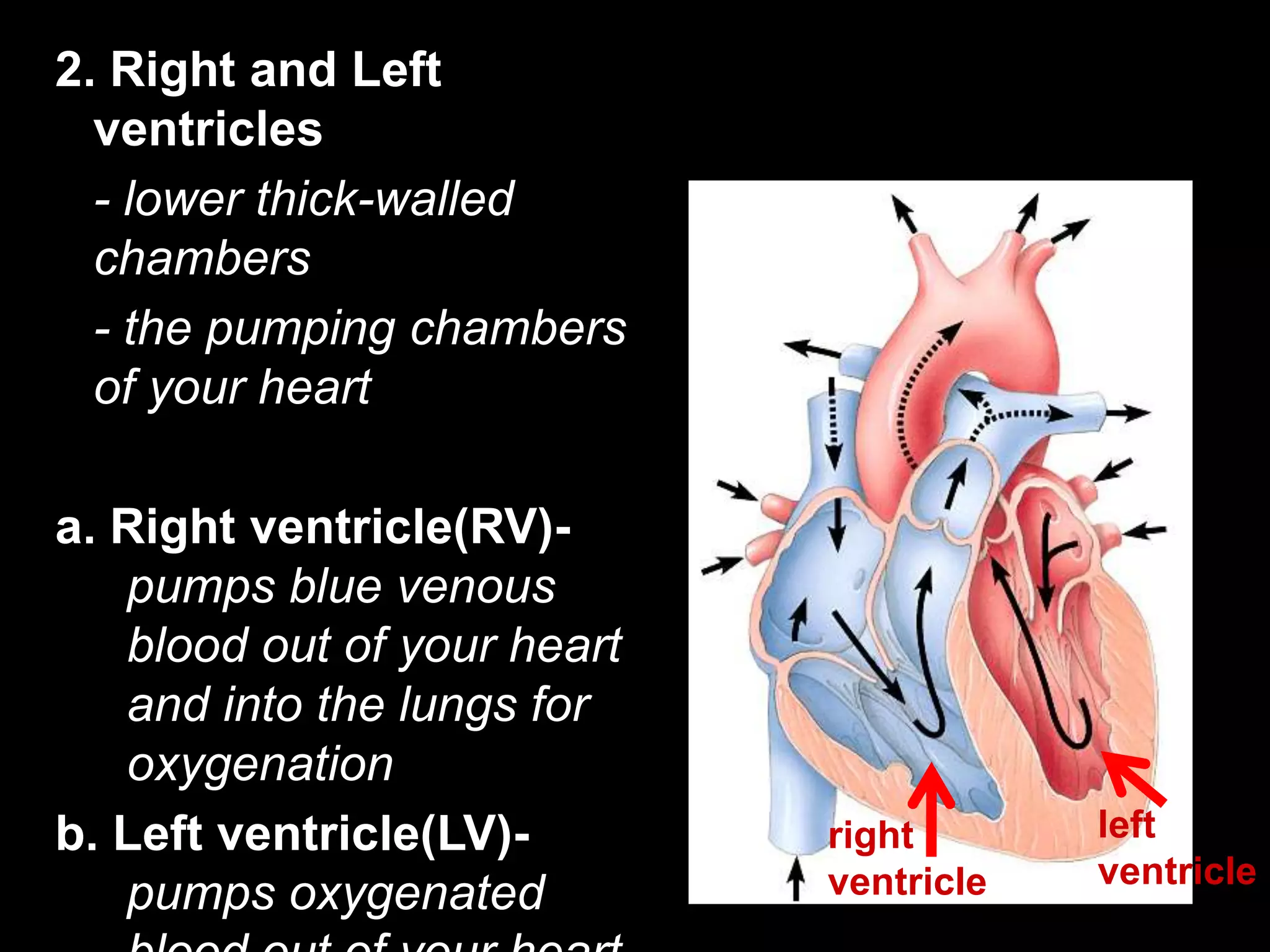 Organ system for internal transport (circulatory system) | PPTX