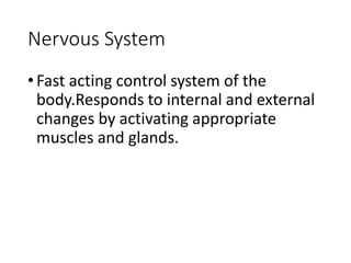Organ system of Human Body | PPTX