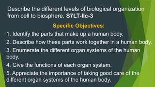 organ system of human GRADE 7 SCIENCE.pptx