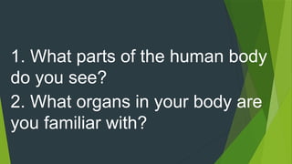 organ system of human GRADE 7 SCIENCE.pptx