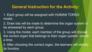 organ system of human GRADE 7 SCIENCE.pptx