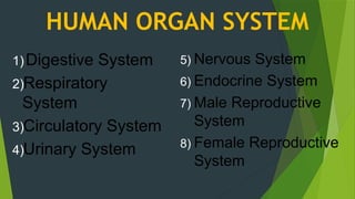 organ system of human GRADE 7 SCIENCE.pptx