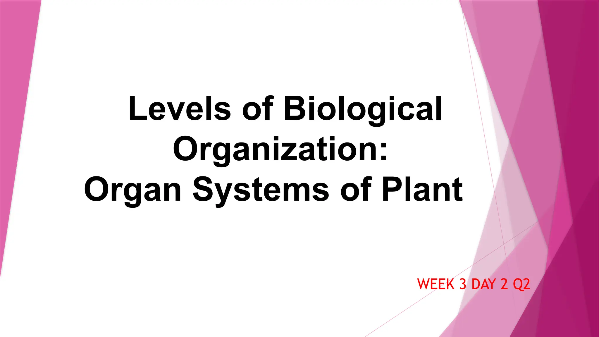 organ system of plants SCIENCE 7 .pptx